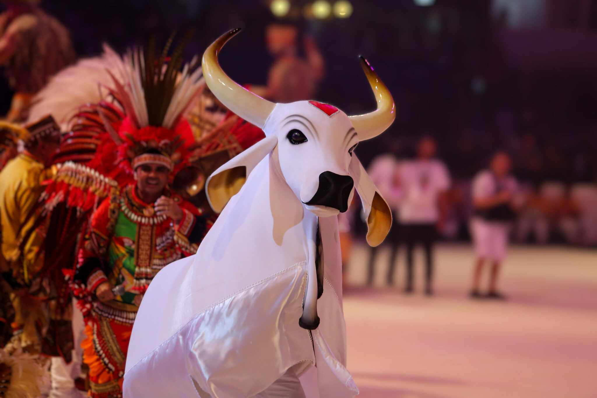 Parintins, cultura e folclore genuinamente brasileiros – Blog dos Correios